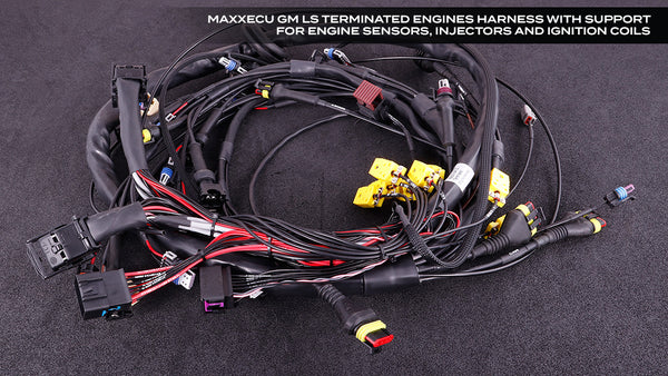 GM Terminated Harness - Synergy Raceparts